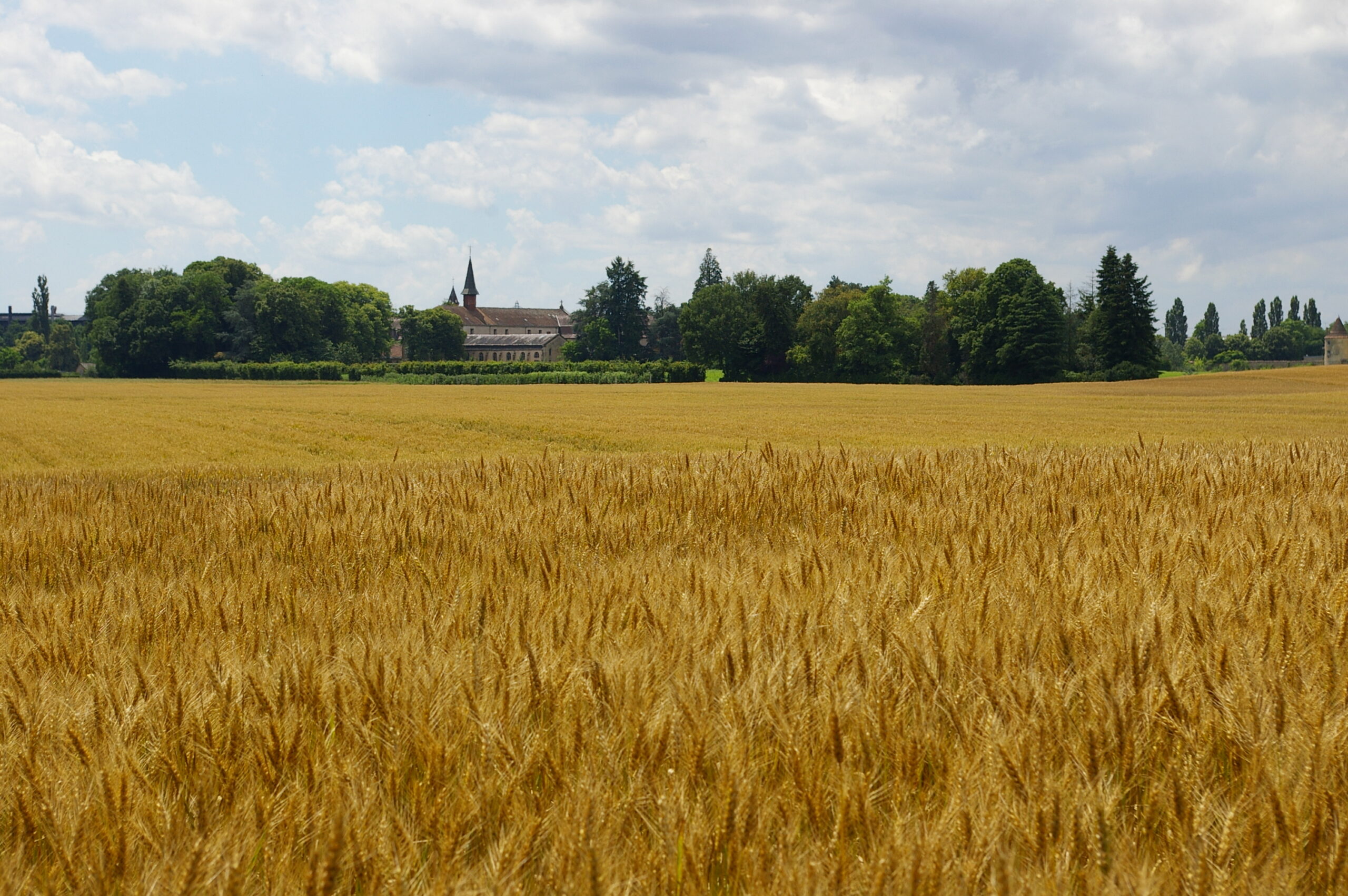 Contacts - Abbaye de Sept-Fons